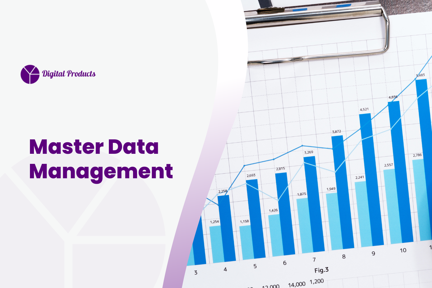 What is Master Data Management?